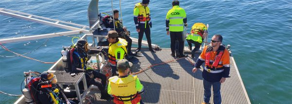 Commercial Dive Courses - Commercial Dive Academy